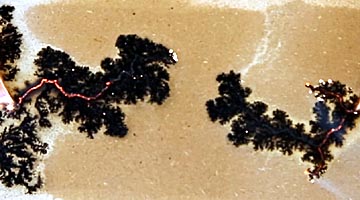 Fractal Lichtenberg Figure Wood Burning with Electricity